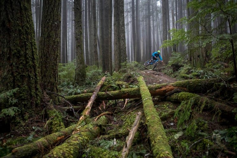 4 Process Improvement Strategies: Modernize, Optimize, Standardize ...