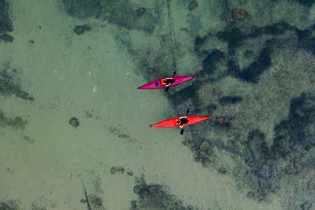 What is an RPA Estate Scan: Everything You Need to Know